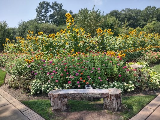 GEIGER PARK - Updated July 2025 - 51 Photos - Grand Blvd, Deer Park ...