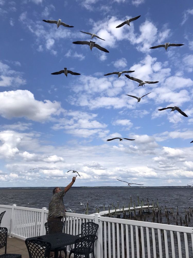 Riverboat On the Potomac, Colonial Beach | Roadtrippers