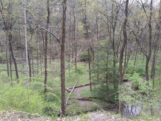 PINE QUARRY PARK - Updated September 2025 - 11 Photos - 8000 Kingsley Dr, Reynoldsburg, Ohio ...