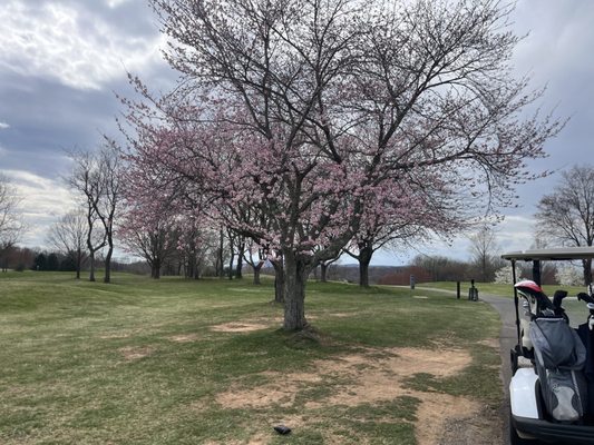 LITTLE BENNETT GOLF COURSE - Updated August 2025 - 36 Photos & 43 ...