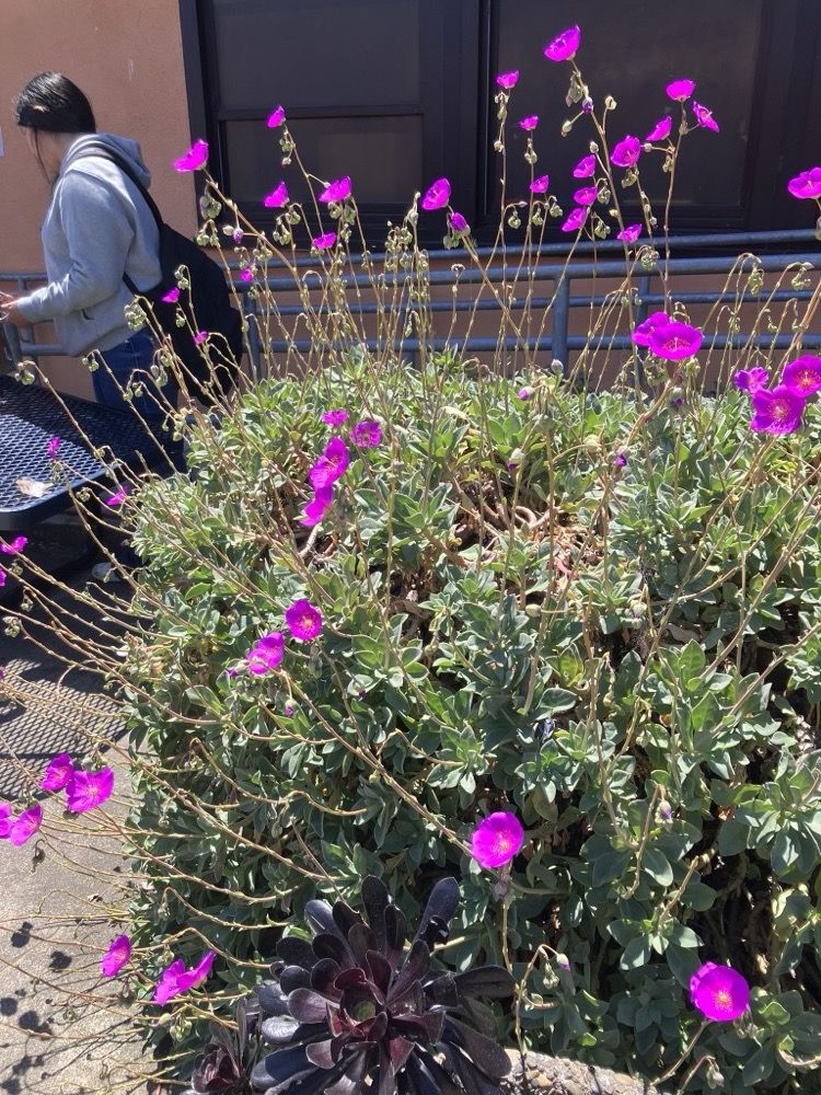 ALAMEDA COMMUNITY LEARNING CENTER - Updated December 2025 - 1900 3rd St ...