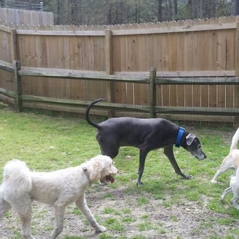 THE FAYETTEVILLE PET RESORT - Updated March 2025 - 18 Photos & 22 ...