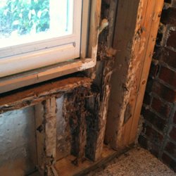 AAA EXTERMINATING - 16 Photos - 2721 Hope MIlls Rd, Fayetteville, North ...