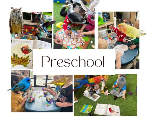 ASH & ELM PLAY STUDIO - Updated July 2025 - 30741 3rd Ave, Black ...