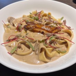 TURCI PASTA - 1508 Photos & 586 Reviews - 2120 Edgewater Dr, Orlando ...