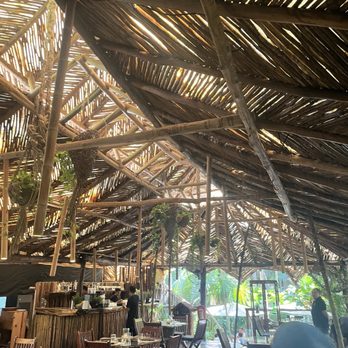 KIN TOH - Updated October 2025 - 889 Photos & 293 Reviews - Carretera ...