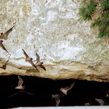 KICKAPOO CAVERN STATE PARK - Updated December 2025 - 30 Photos & 12 ...