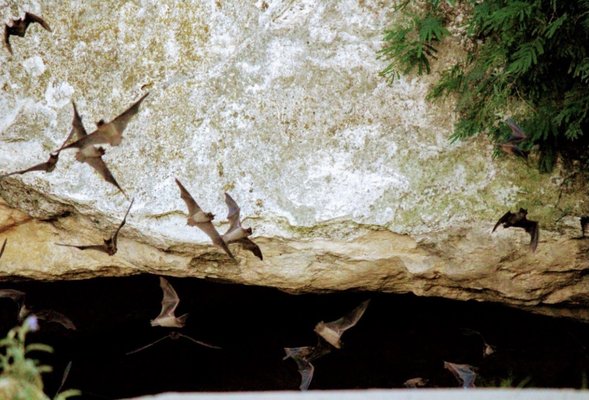 KICKAPOO CAVERN STATE PARK - Updated April 2025 - 30 Photos & 11 ...