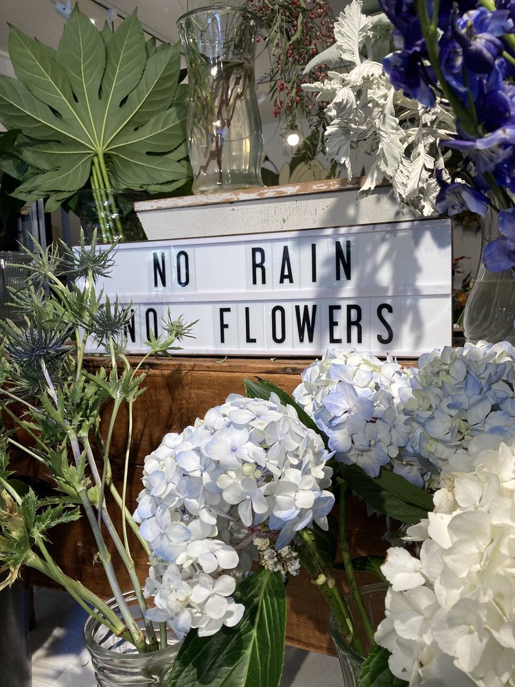 BLOOMIES FLOWER SHOP - Updated November 2024 - 72 Photos & 24 Reviews ...