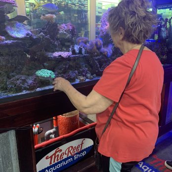 THE REEF AQUARIUM SHOP - Updated February 2025 - 133 Photos & 75 ...