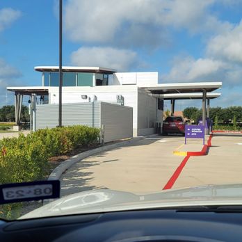 BEAN HERE COFFEE - Updated September 2024 - 104 Photos & 24 Reviews ...