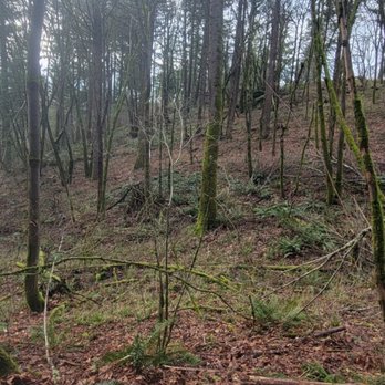 COOKS BUTTE PARK - Updated October 2025 - 33 Photos - 2266 Palisades ...