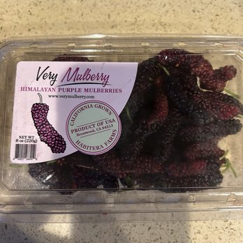 VERY MULBERRY - TEMP. CLOSED - Updated December 2025 - 310 Photos & 75 ...