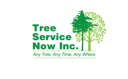 TREE SERVICE NOW - Updated December 2025 - 8360 Euclid Chardon Rd ...