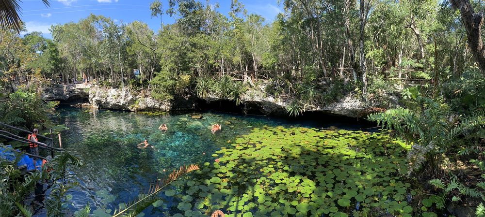 CENOTE NICTE HA - 11 Photos - Carretera 307 Km 244.5, Tulum, Quintana ...