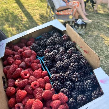 COLUMBIA FARMS U-PICK - Updated July 2025 - 120 Photos & 41 Reviews ...
