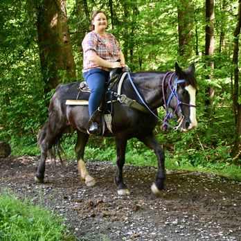 SUGARLANDS RIDING STABLE - Updated June 2025 - 131 Photos & 128 Reviews ...