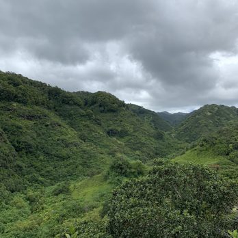 WAIMANO LOOP TRAIL - Updated August 2024 - 429 Photos & 87 Reviews ...