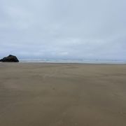 ARCADIA BEACH STATE RECREATION SITE - 86 Photos & 17 Reviews - 3 Miles ...