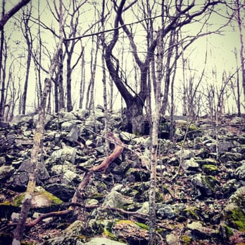 PARDON GRAY PRESERVE - Updated November 2025 - 43 Photos & 10 Reviews ...