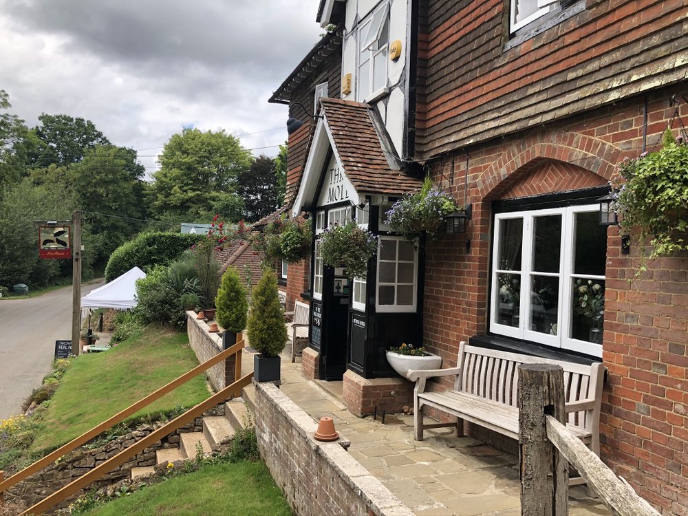 THE THREE MOLES - Updated July 2025 - 17 Photos - Selham Road, Petworth ...