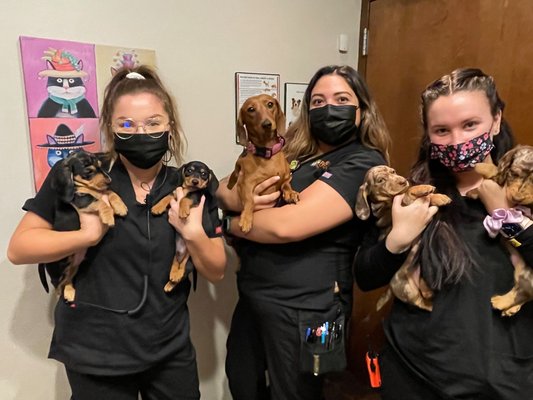 PAWS VETERINARY CENTER - Updated July 2025 - 157 Photos & 128 Reviews ...