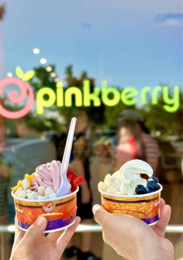 PINKBERRY - Updated April 2026 - 31 Photos & 32 Reviews - 3541 N ...