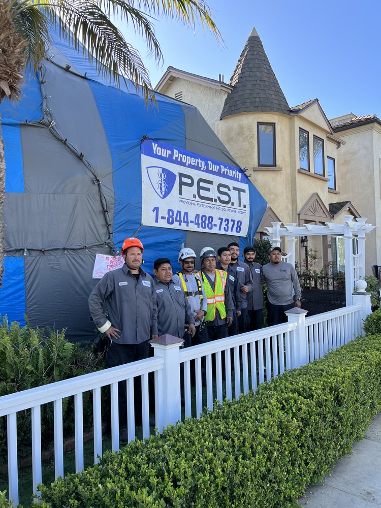 THE PEST GROUP - Updated October 2025 - 14 Photos - 16140 Leadwell St ...