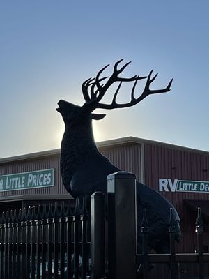 LITTLE DEALER LITTLE PRICES - Updated December 2024 - 108 Photos & 95 ...