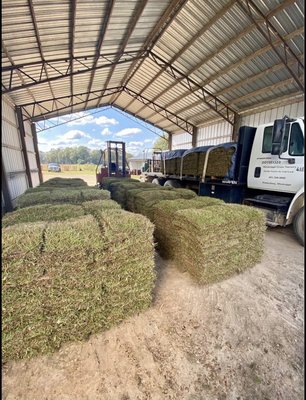 MISSISSIPPI GRASS FARMS - Updated September 2025 - 117 Old Hwy 49 ...