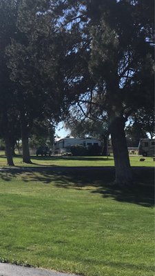 BOARDMAN MARINA & RV PARK - Updated August 2025 - 34 Photos & 28 ...