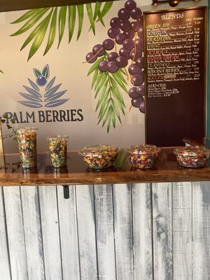 PALM BERRIES - Updated May 2025 - 49 Photos & 18 Reviews - 2931 S Glebe ...