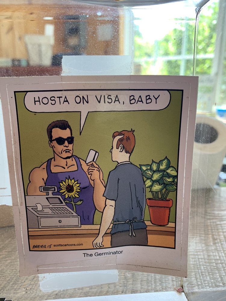 THE HOSTA STOP - 1011 WI-54 W, Plover, Wisconsin - Nurseries ...