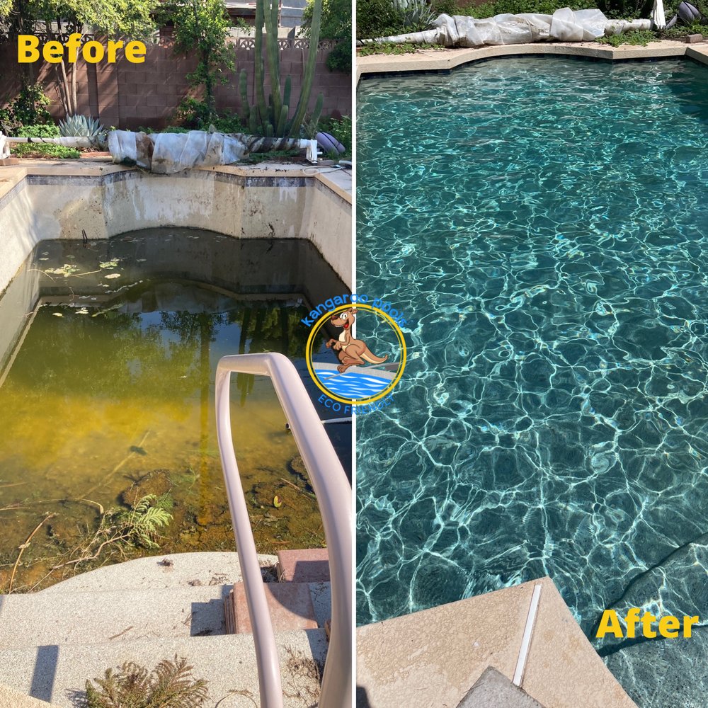 KANGAROO POOLS - 264 Photos & 36 Reviews - 28150 N Alma School Pkwy ...