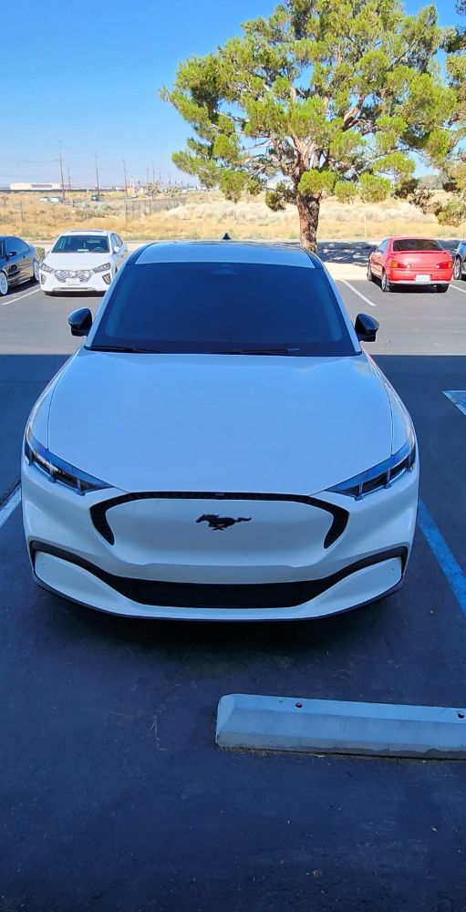 ONLY TINTS / KRISPY CLEAN EXCLUSIVE - Updated September 2025 - 87 ...