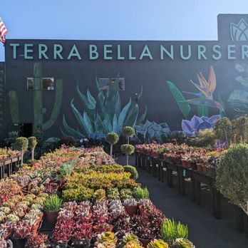 TERRA BELLA NURSERY - Updated July 2024 - 251 Photos & 62 Reviews - 3535 Camino Del Rio W, San ...