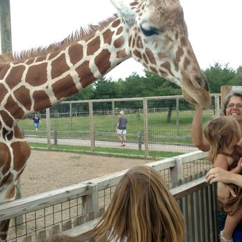 SAFARI NORTH WILDLIFE PARK - Updated October 2025 - 67 Photos & 36 ...