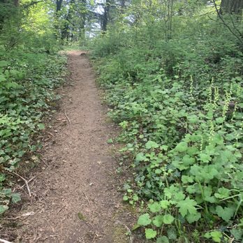 KELLY BUTTE NATURAL AREA - Updated December 2025 - 31 Photos & 11 ...