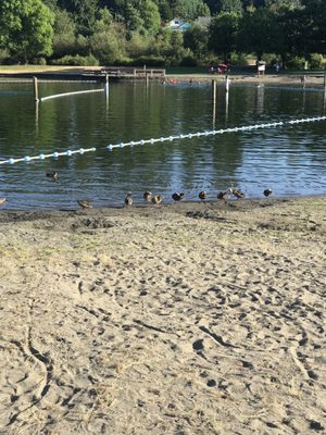 KLINELINE POND - Updated July 2024 - 15 Photos & 15 Reviews - 1112 NE ...