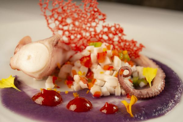 ALLIGATOR SOUL - Updated May 2024 - 1370 Photos & 1251 Reviews - 114 ...