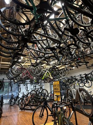 MIKE’S BIKES OF FOLSOM - Updated June 2026 - 32 Photos & 119 Reviews ...