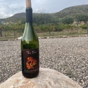 OAK CREEK VINEYARDS & WINERY - 319 Photos & 261 Reviews - 1555 N Page Springs Rd, Cornville, AZ ...