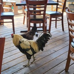 RICHTER’S ANTLER CAFE - Updated October 2025 - 379 Photos & 677 Reviews ...