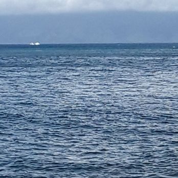 POHAKU PARK S-TURNS - Updated September 2025 - 52 Photos & 15 Reviews ...