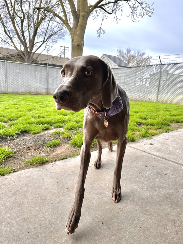 DARBY’S PET PARADISE - Updated July 2024 - 102 Photos & 46 Reviews ...