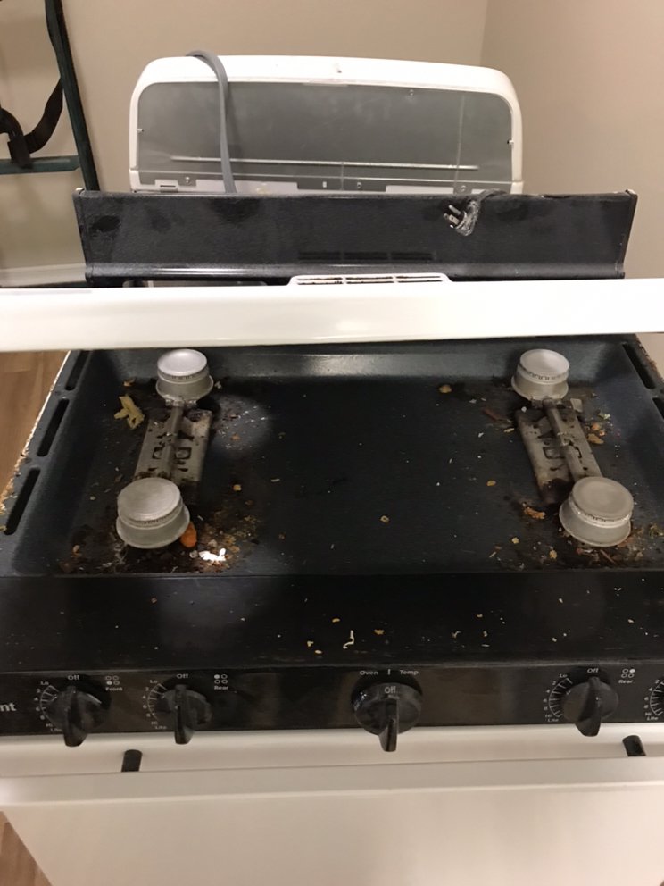 PEACOCK CLEANING SERVICE - Updated May 2024 - Request a Quote - 13 Photos - Gretna, Florida ...