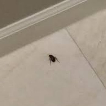 RODEWAY INN MAGIC MOUNTAIN AREA - Updated July 2025 - 330 Photos & 226 ...