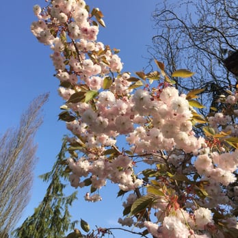 FLOWER WORLD - Updated June 2024 - 274 Photos & 194 Reviews - 9322 ...