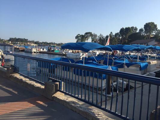 LAKE MISSION VIEJO - 164 Photos & 88 Reviews - Boating - 22555 Olympiad ...