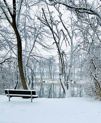 SILVER SPRINGS STATE PARK - Updated October 2025 - 33 Photos & 24 ...